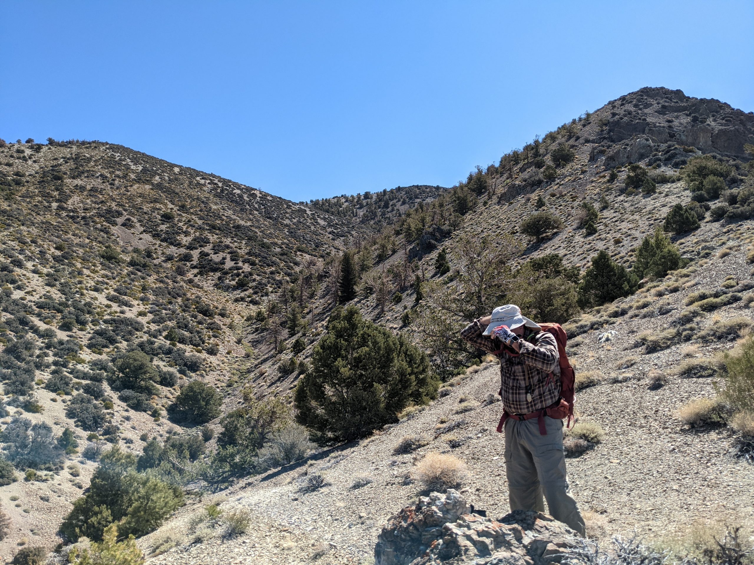 Mount Inyo and 10,000-foot Peaks in the White Mountains – Hiker's Blog
